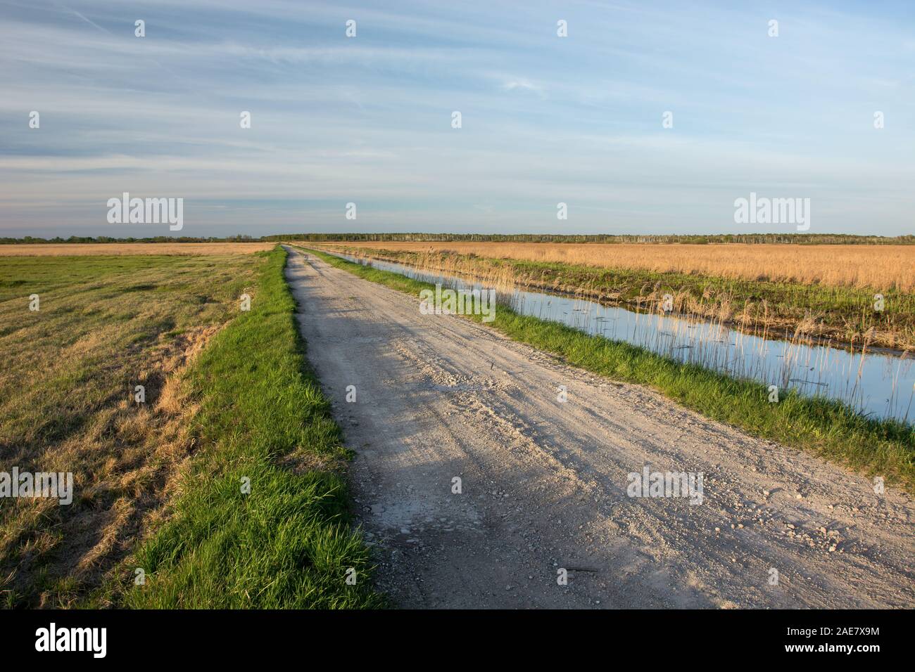 Gravel road through a meadow and water channel - view illuminated by ...