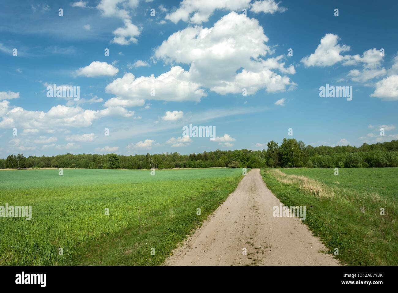 Long straight forest trail hi-res stock photography and images - Alamy