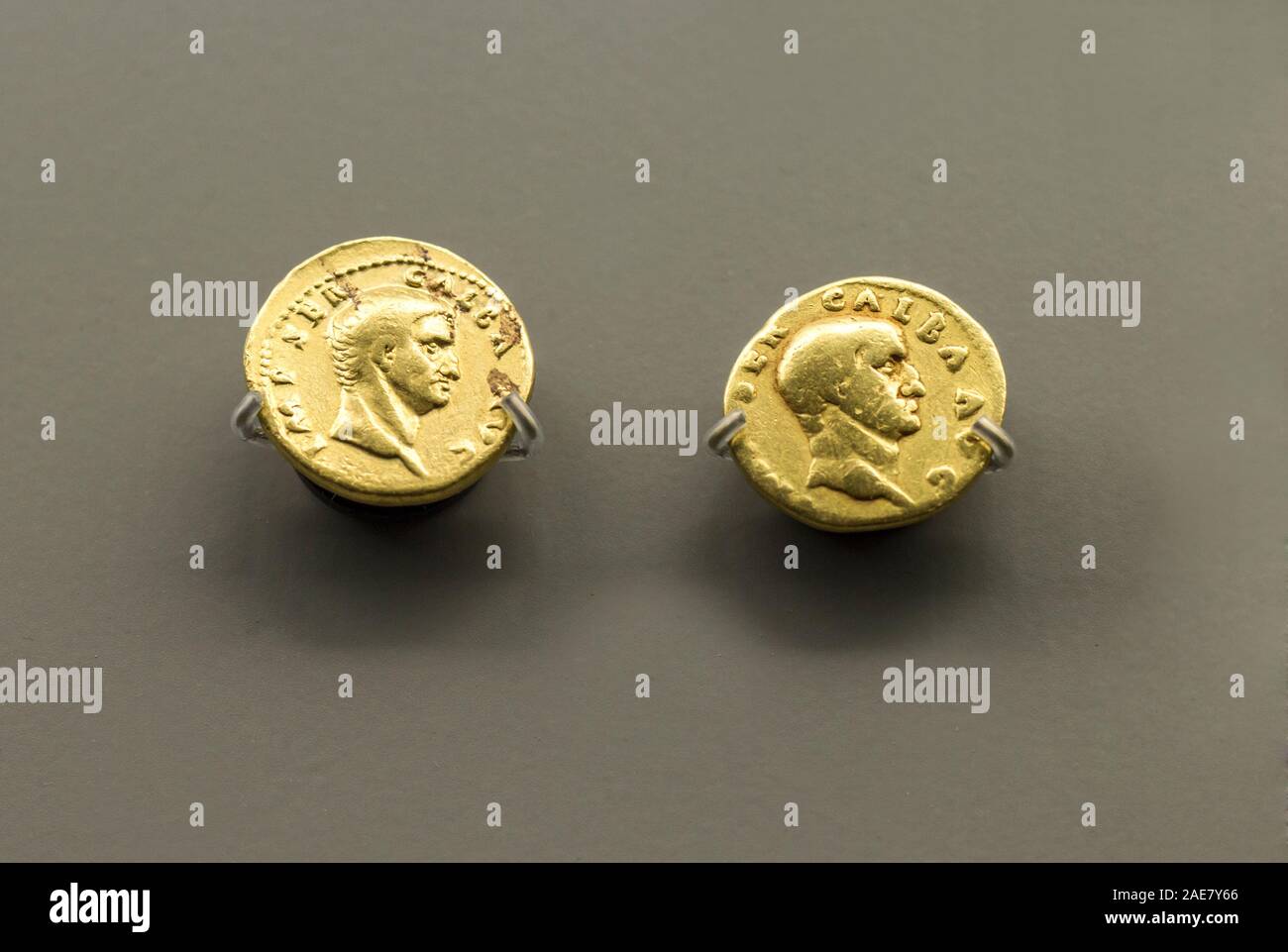 Gaius Julius Vindex High Resolution Stock Photography and Images - Alamy