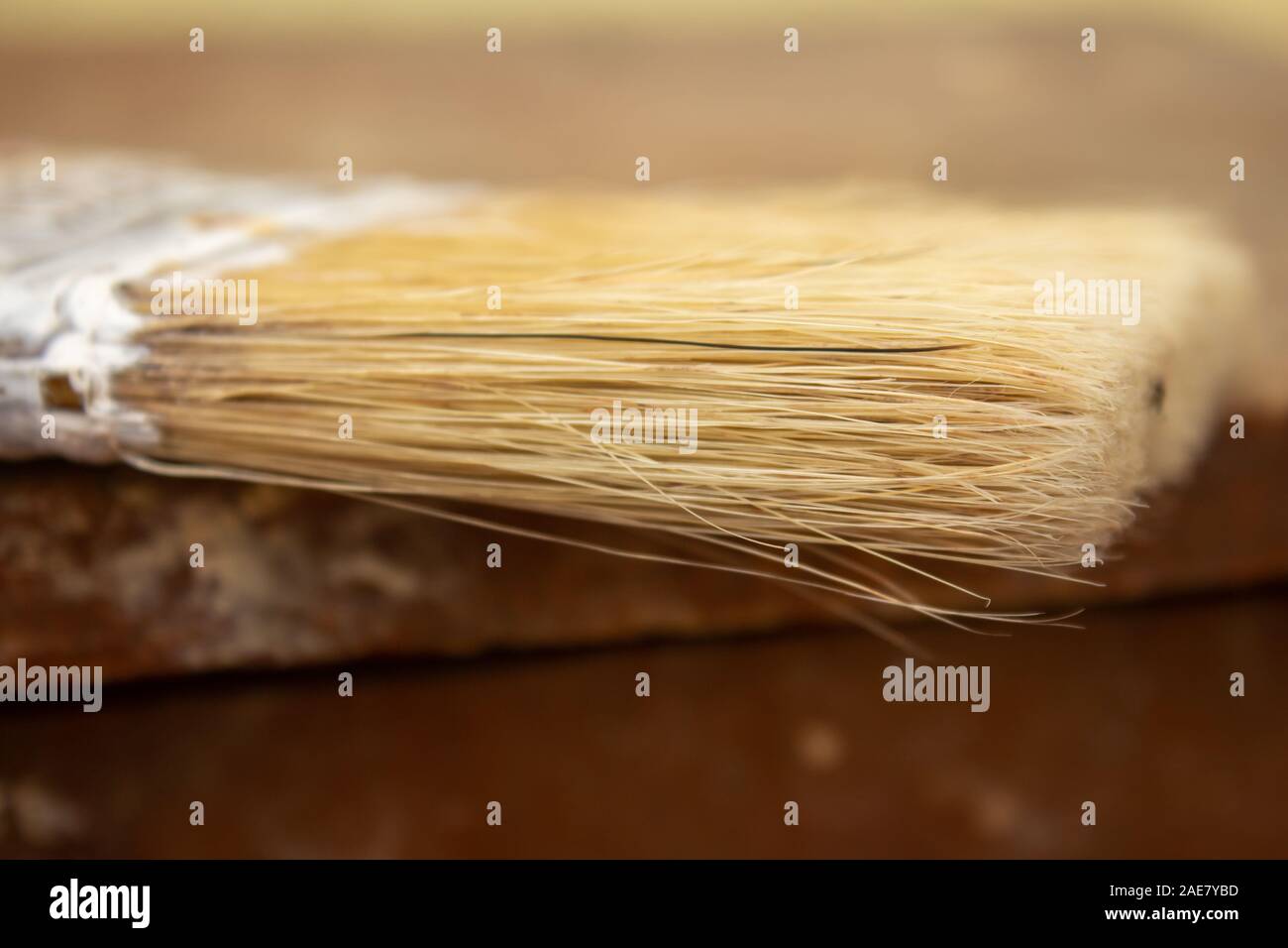 Places brush hi-res stock photography and images - Alamy