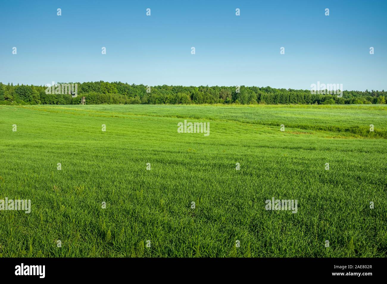 Big green field hi-res stock photography and images - Alamy