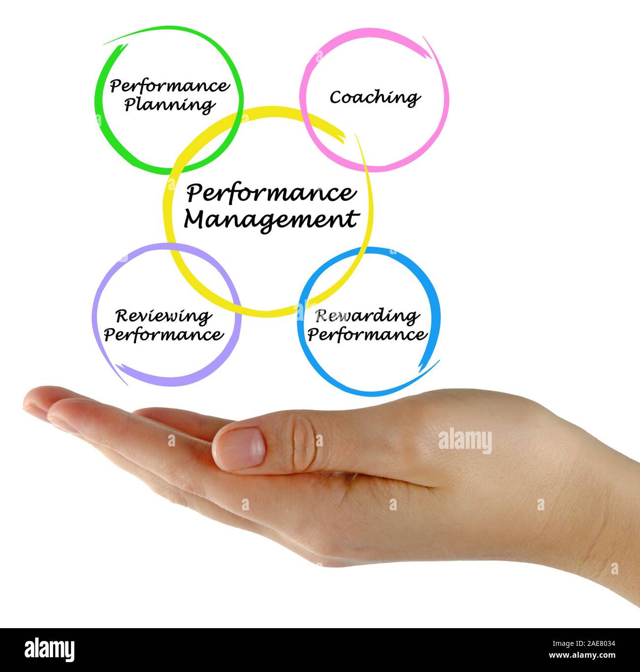 Diagram of Performance Management Stock Photo - Alamy