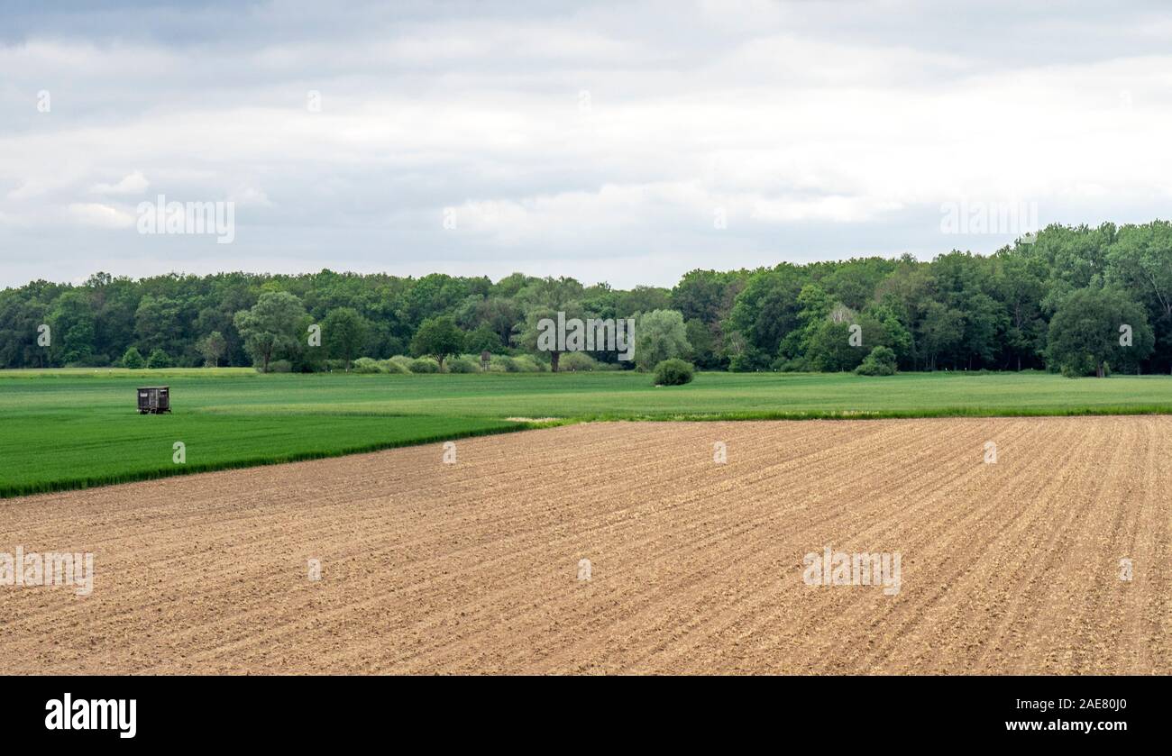 Bird watching hut hi-res stock photography and images - Alamy