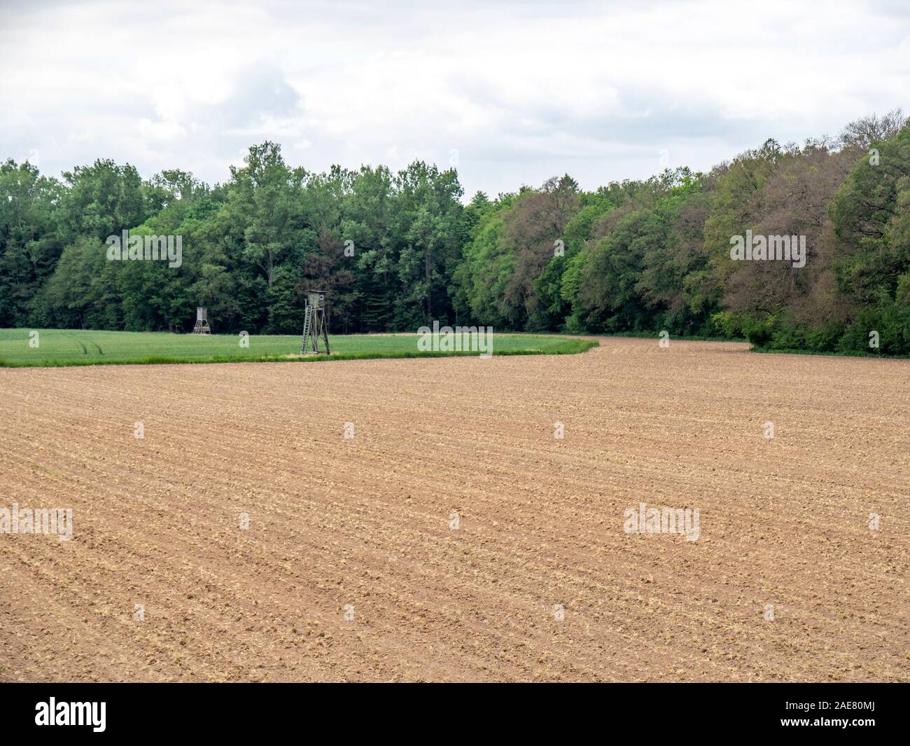 Bird watching hut hi-res stock photography and images - Alamy