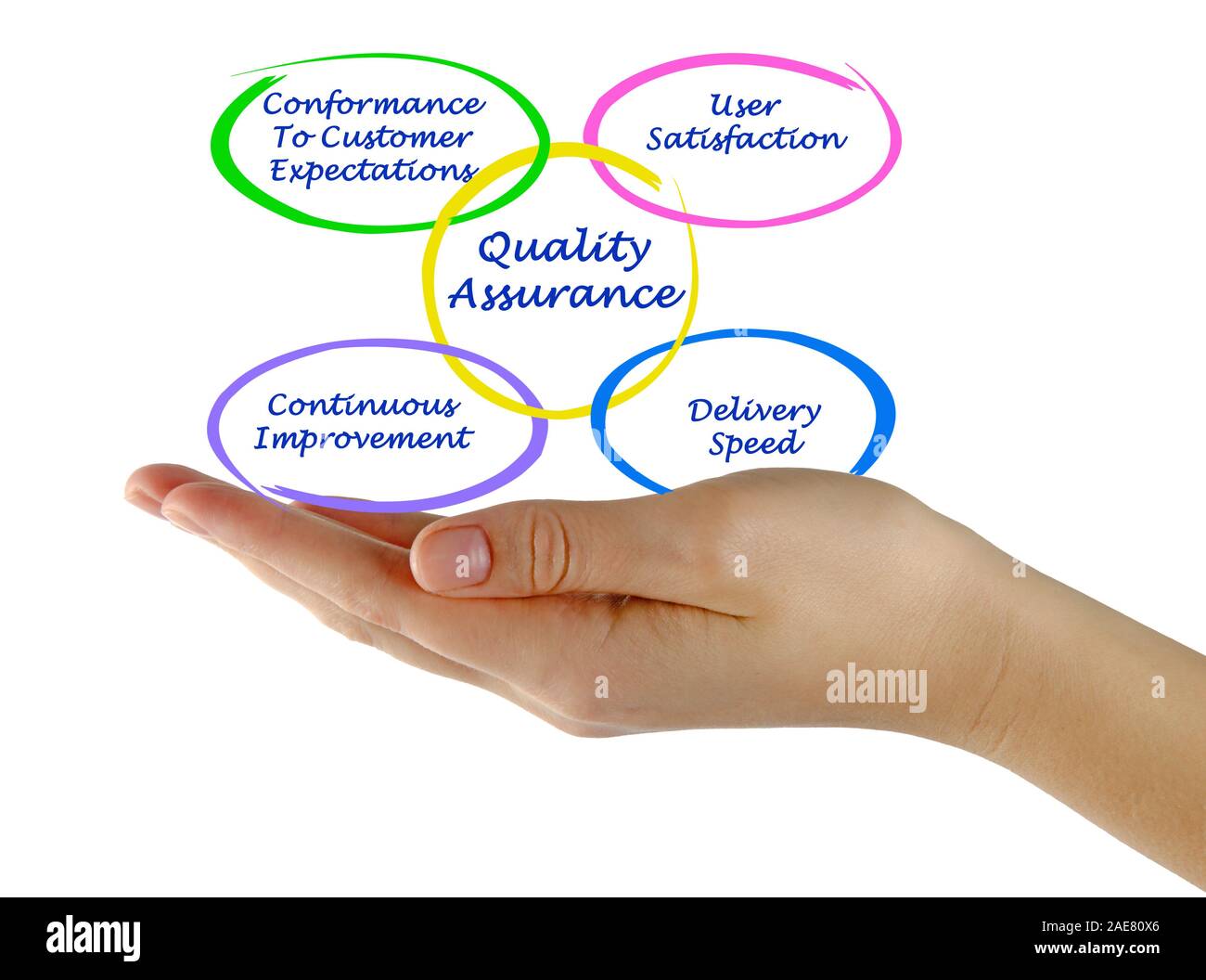 Quality assurance Cut Out Stock Images & Pictures - Alamy
