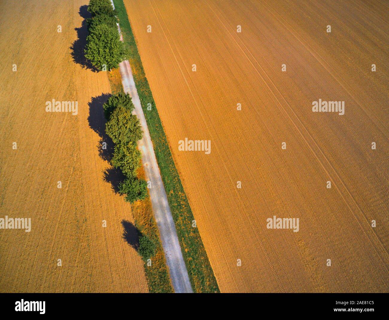 Aerial view from the vertical with bushes, trees and shrubs next to a ...
