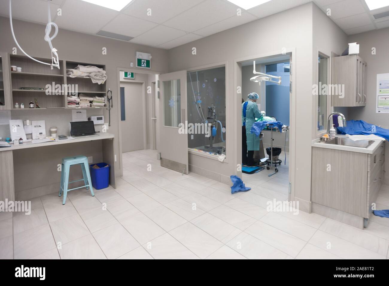 Pets vet operation hi-res stock photography and images - Alamy