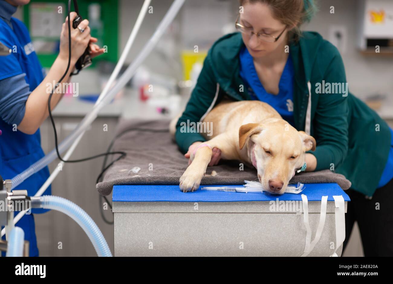 Pre surgery prep hi-res stock photography and images - Alamy