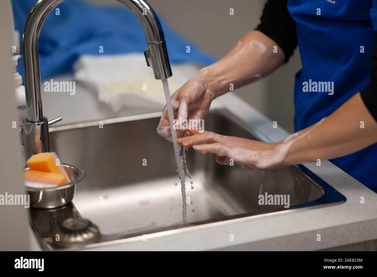 Scrubs washing hi-res stock photography and images - Alamy
