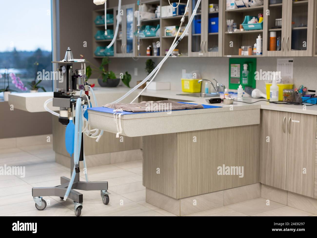 Assessment area hi-res stock photography and images - Alamy