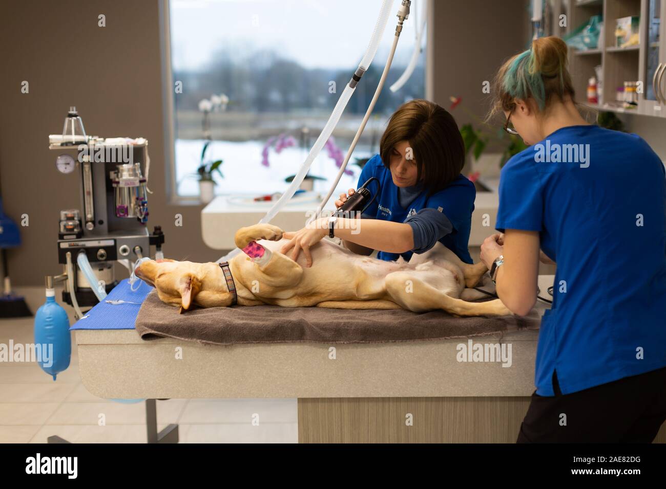 Pre surgery prep hi-res stock photography and images - Alamy