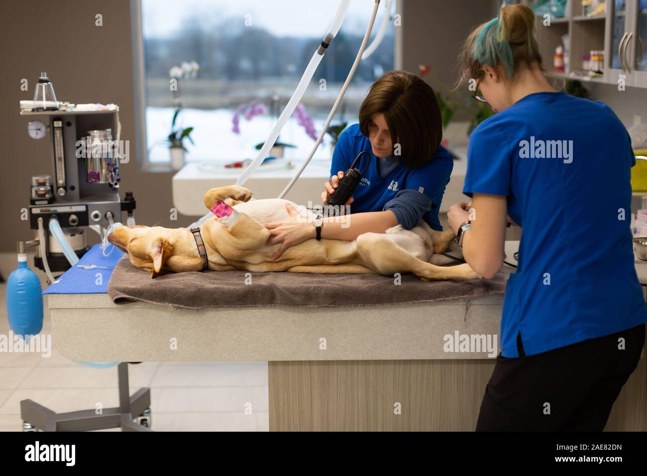 Pre surgery prep hi-res stock photography and images - Alamy