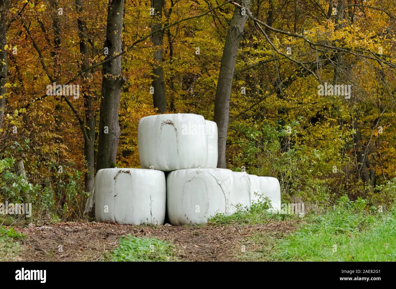 Hay bales wrapped in plastic hi-res stock photography and images - Alamy