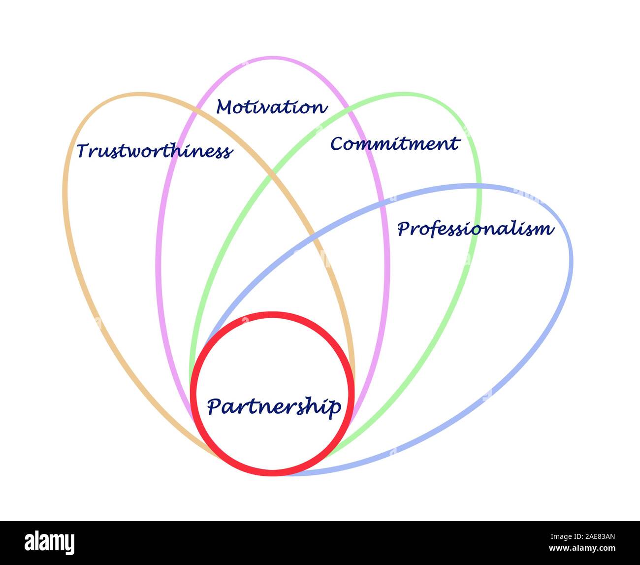 Diagram of partnership Stock Photo - Alamy