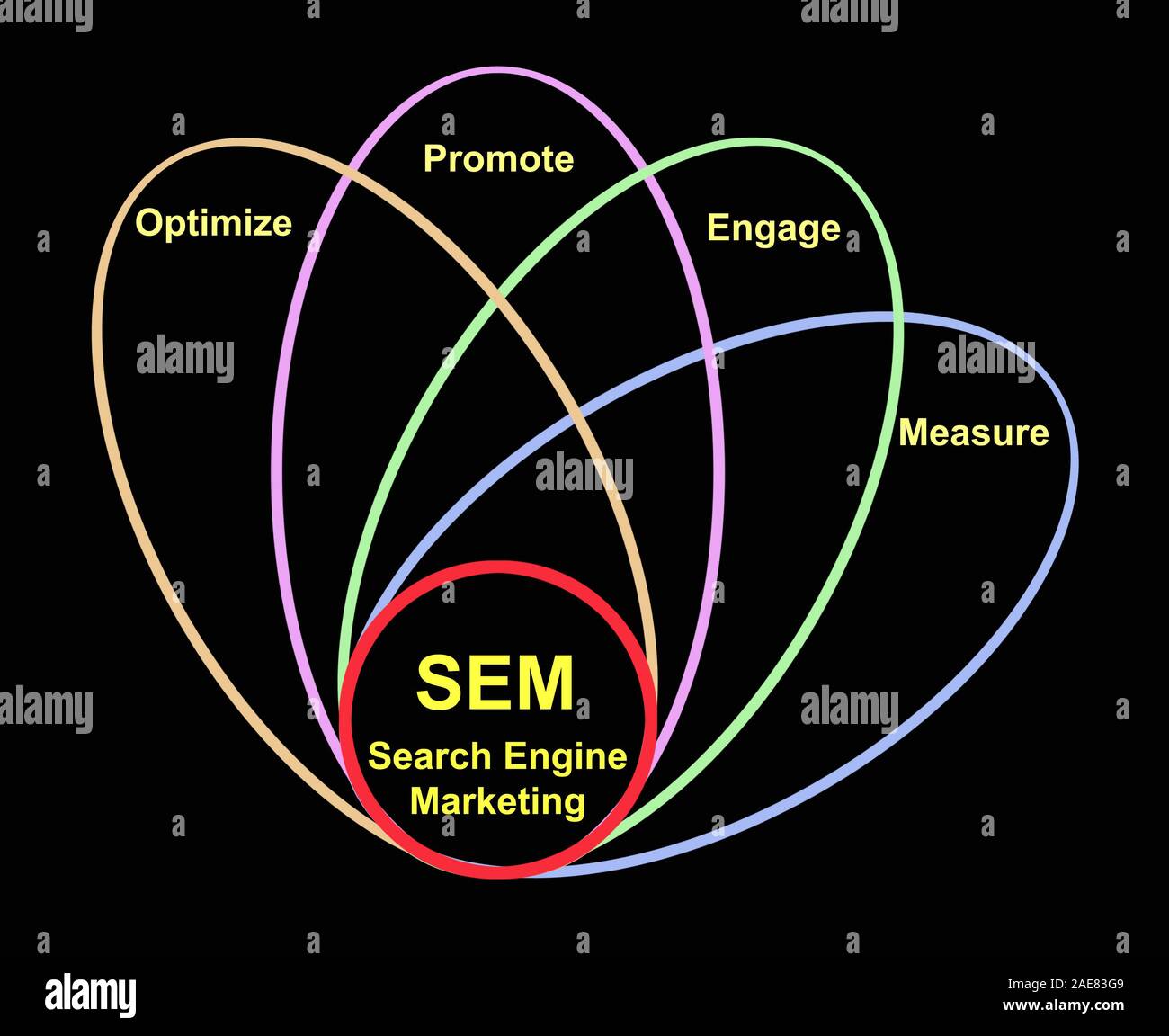 Spider diagram hi-res stock photography and images - Alamy