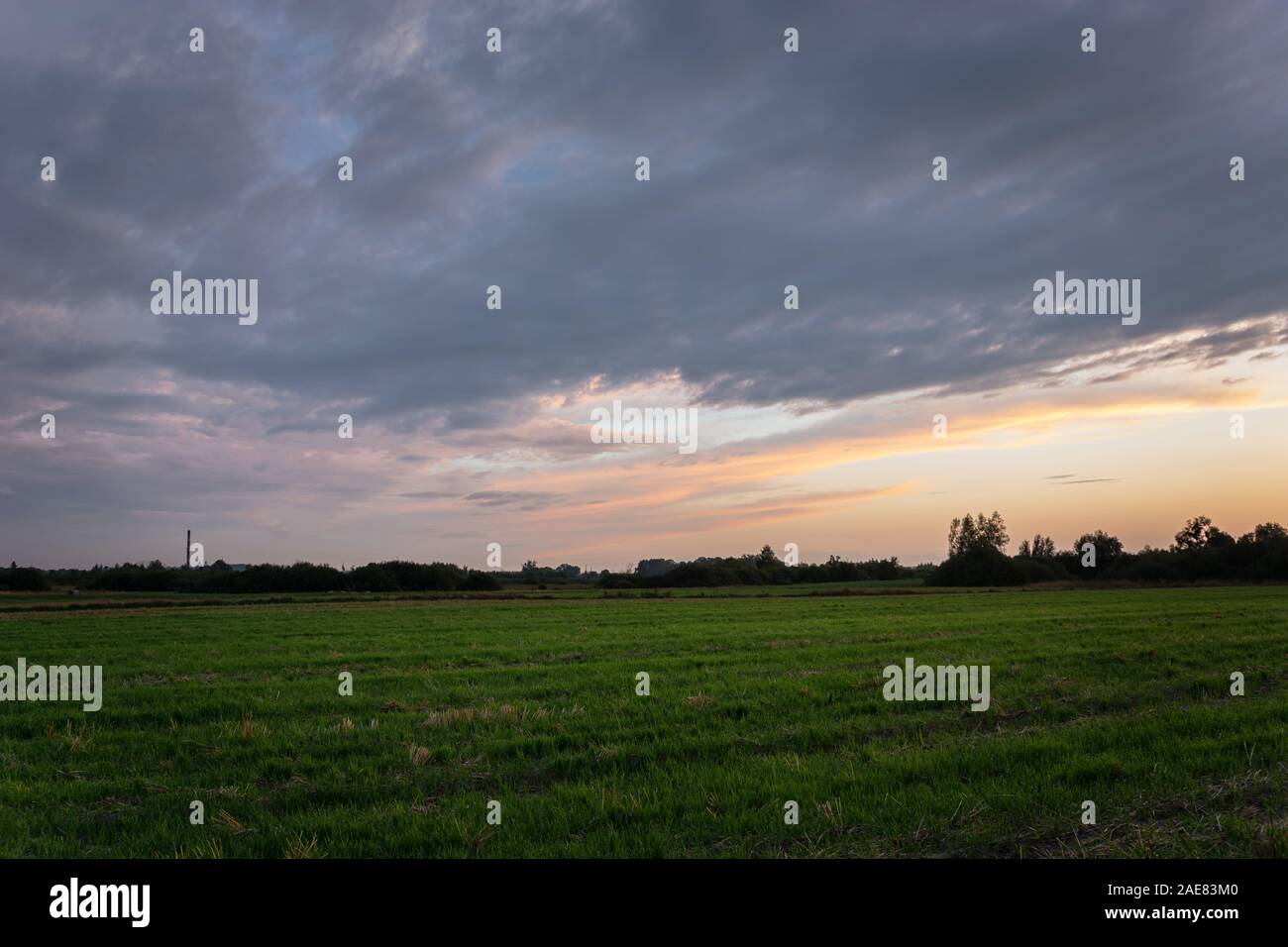 Horizon field hi-res stock photography and images - Alamy