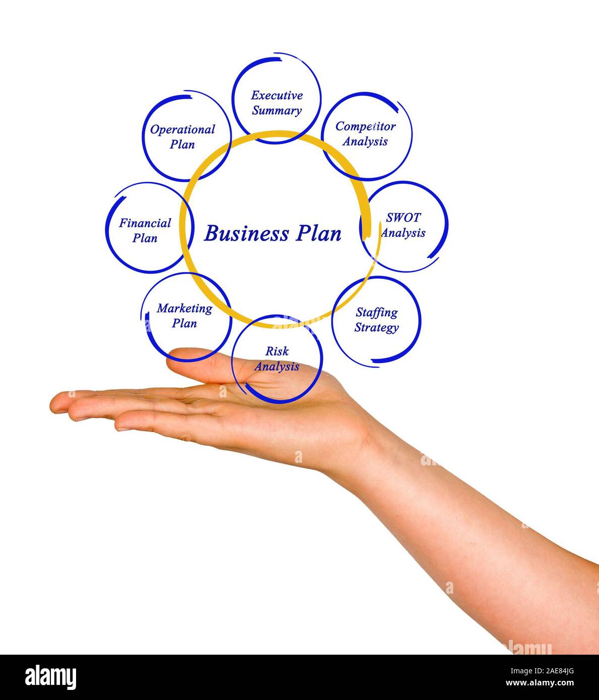 Diagram of business plan Stock Photo - Alamy