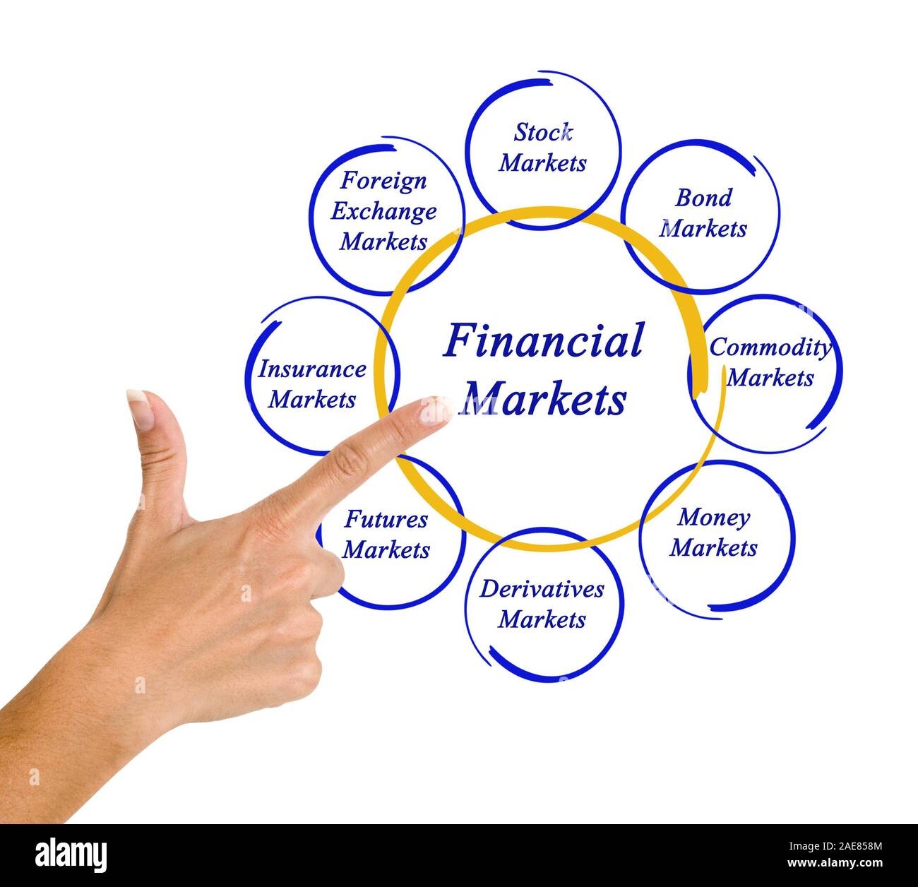 Diagram of financial markets Stock Photo - Alamy