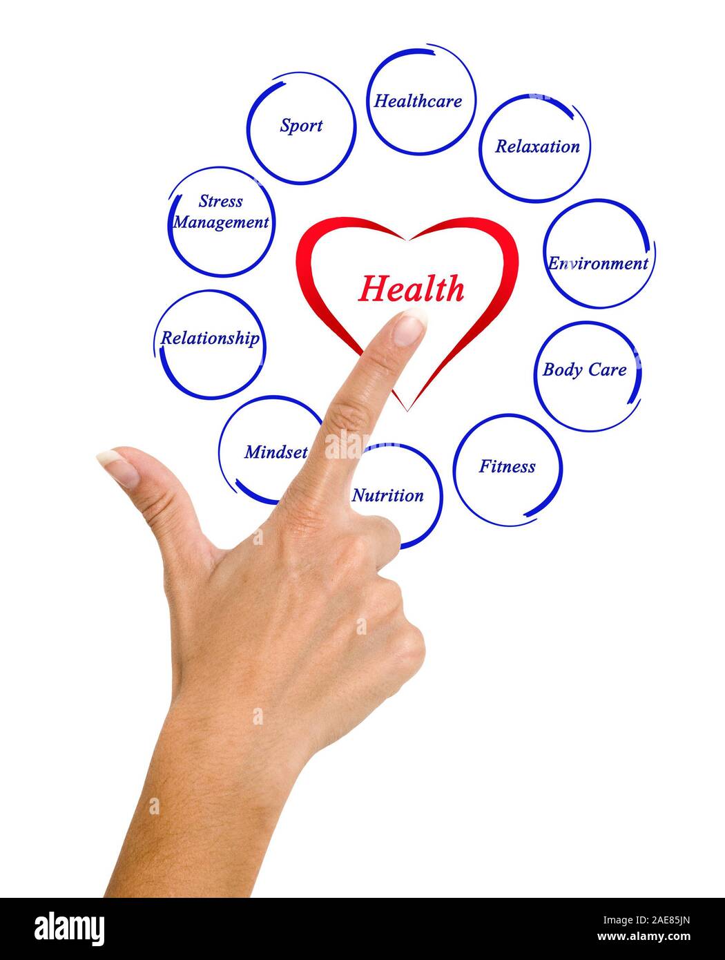 Diagram of health Stock Photo - Alamy