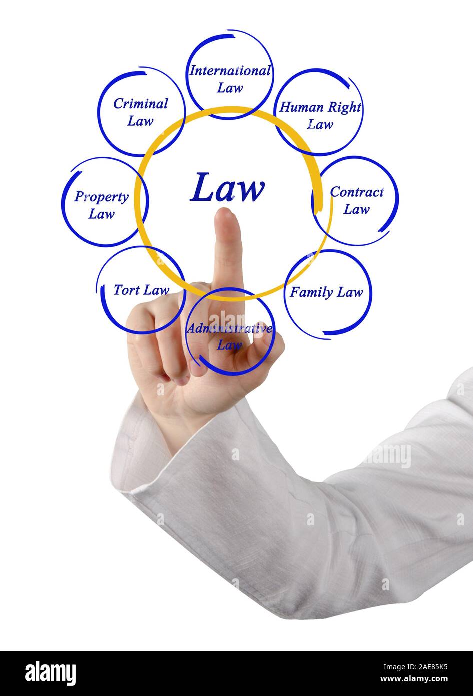 Diagram of law Stock Photo - Alamy