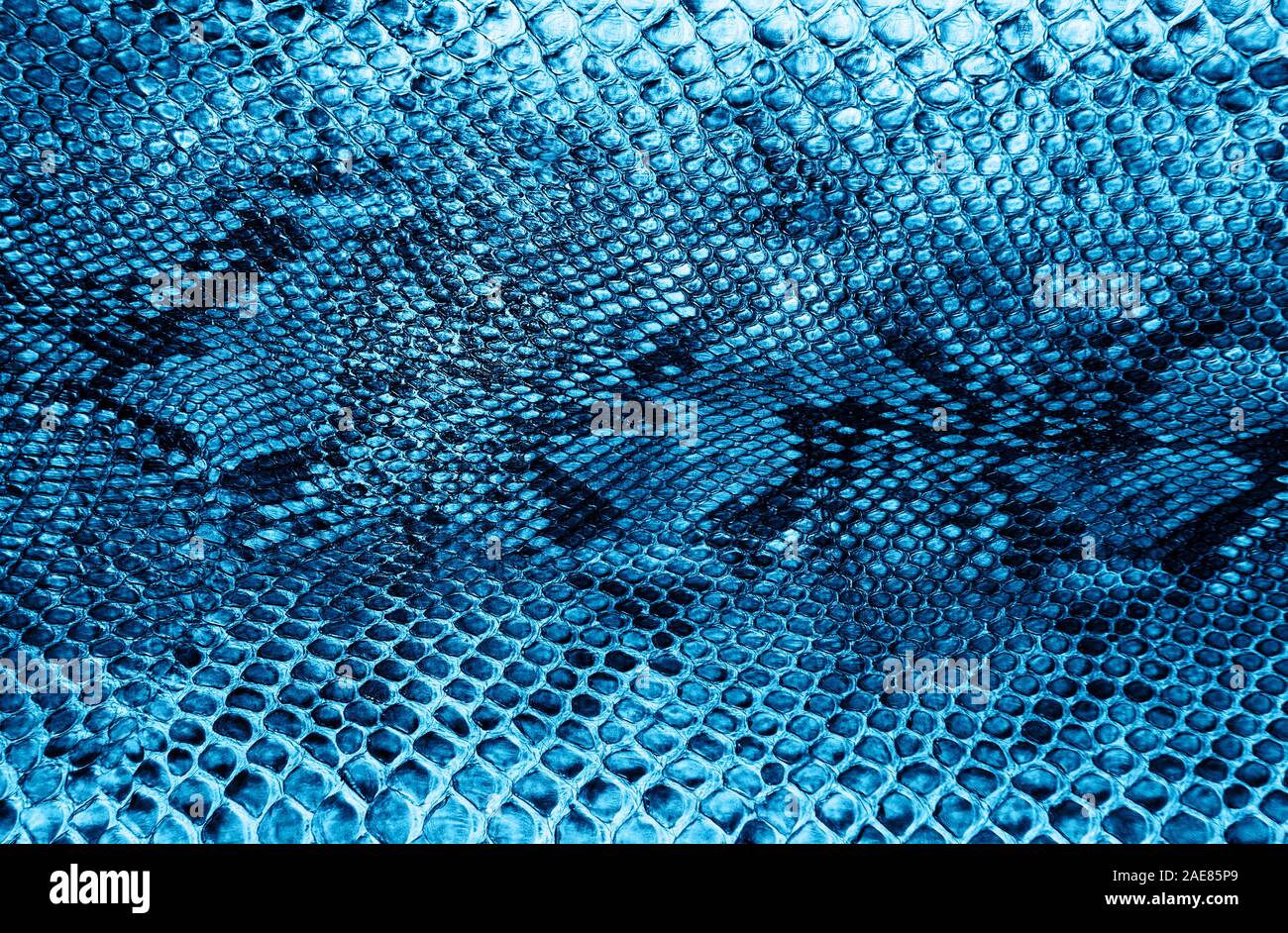 Snake skin background toned blue color Stock Photo - Alamy