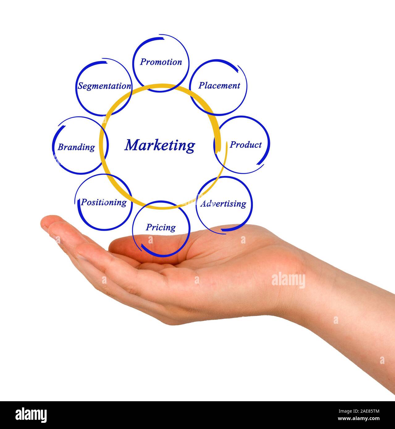 Diagram of marketing Stock Photo - Alamy