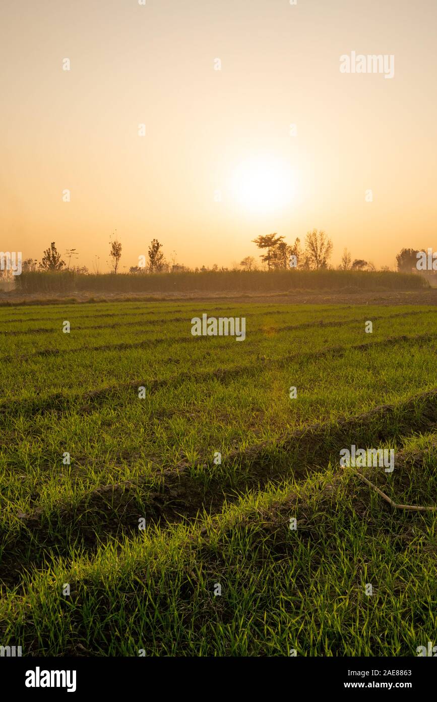 Side fields hi-res stock photography and images - Alamy
