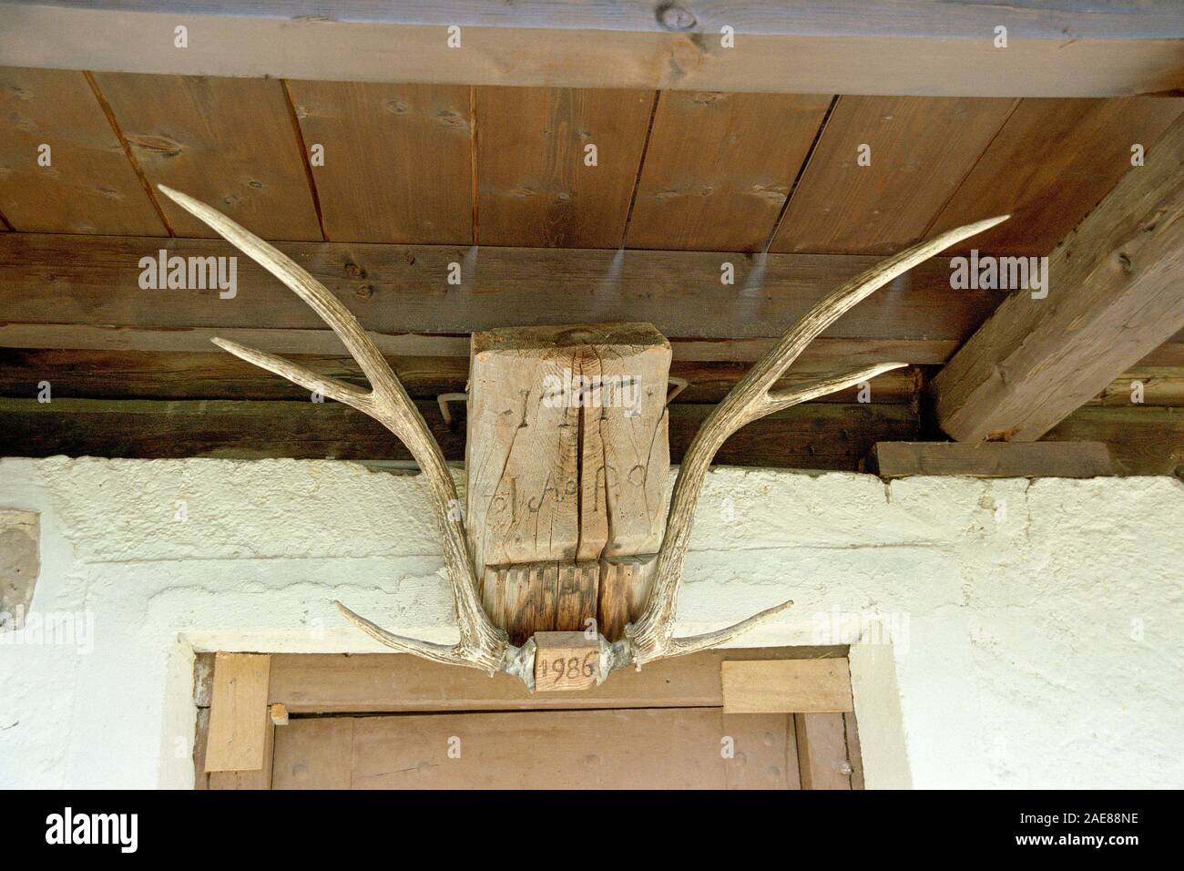 Hunting trophy at a hi-res stock photography and images - Alamy