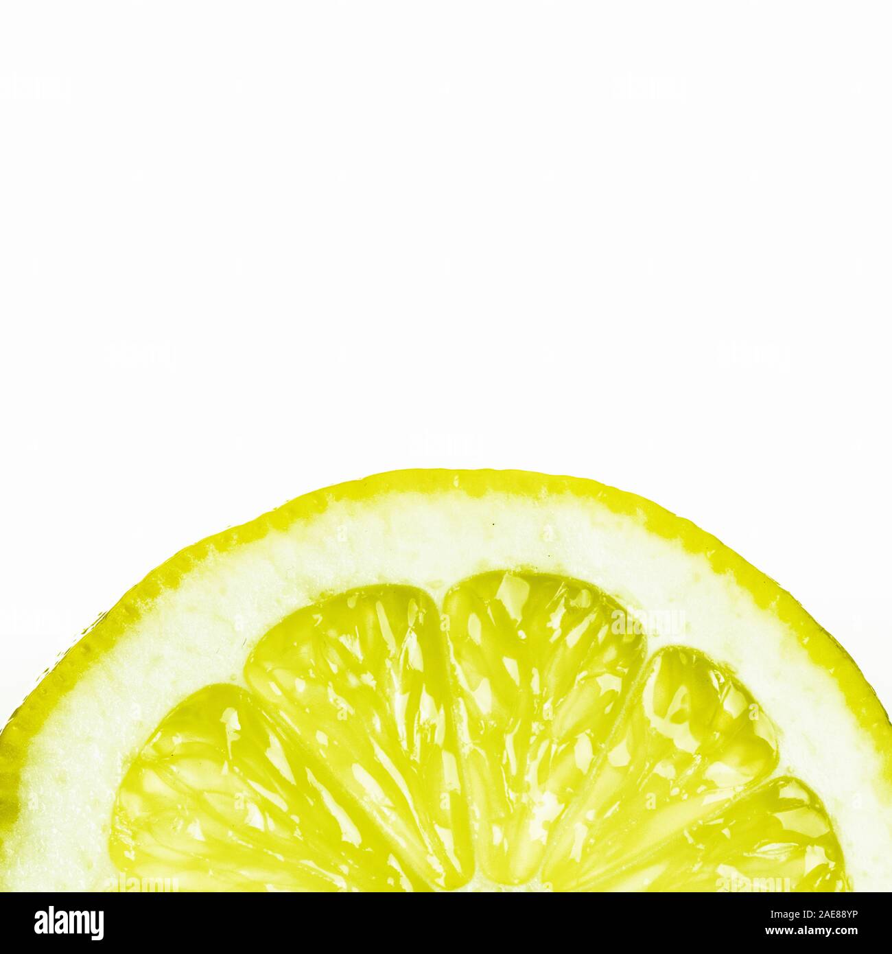 close up view of an isolated and backlit yellow lemon fruit slice on a ...