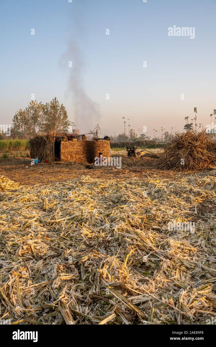 Traditional sugarcane Jaggery Plant in KP, Pakistan Stock Photo - Alamy