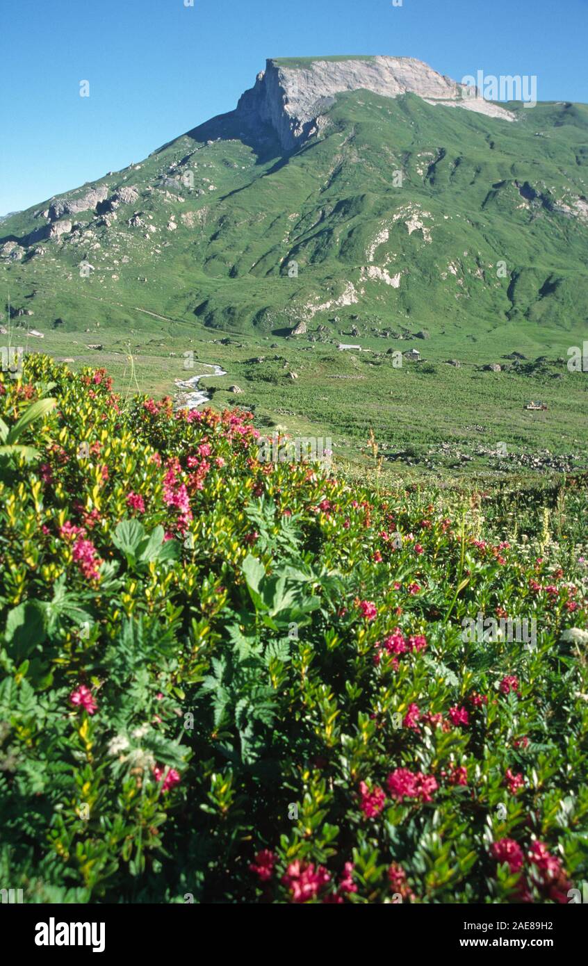 Col du vent hi-res stock photography and images - Alamy