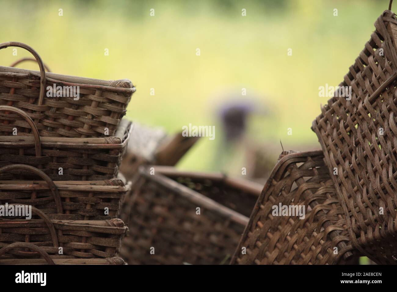 Nigeria bamboo hi-res stock photography and images - Alamy