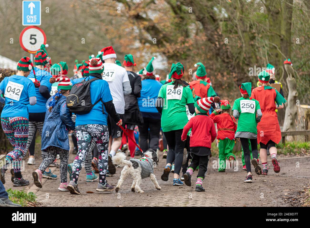 Mental Elf Run charity fun run for South East and Central Essex Mind ...