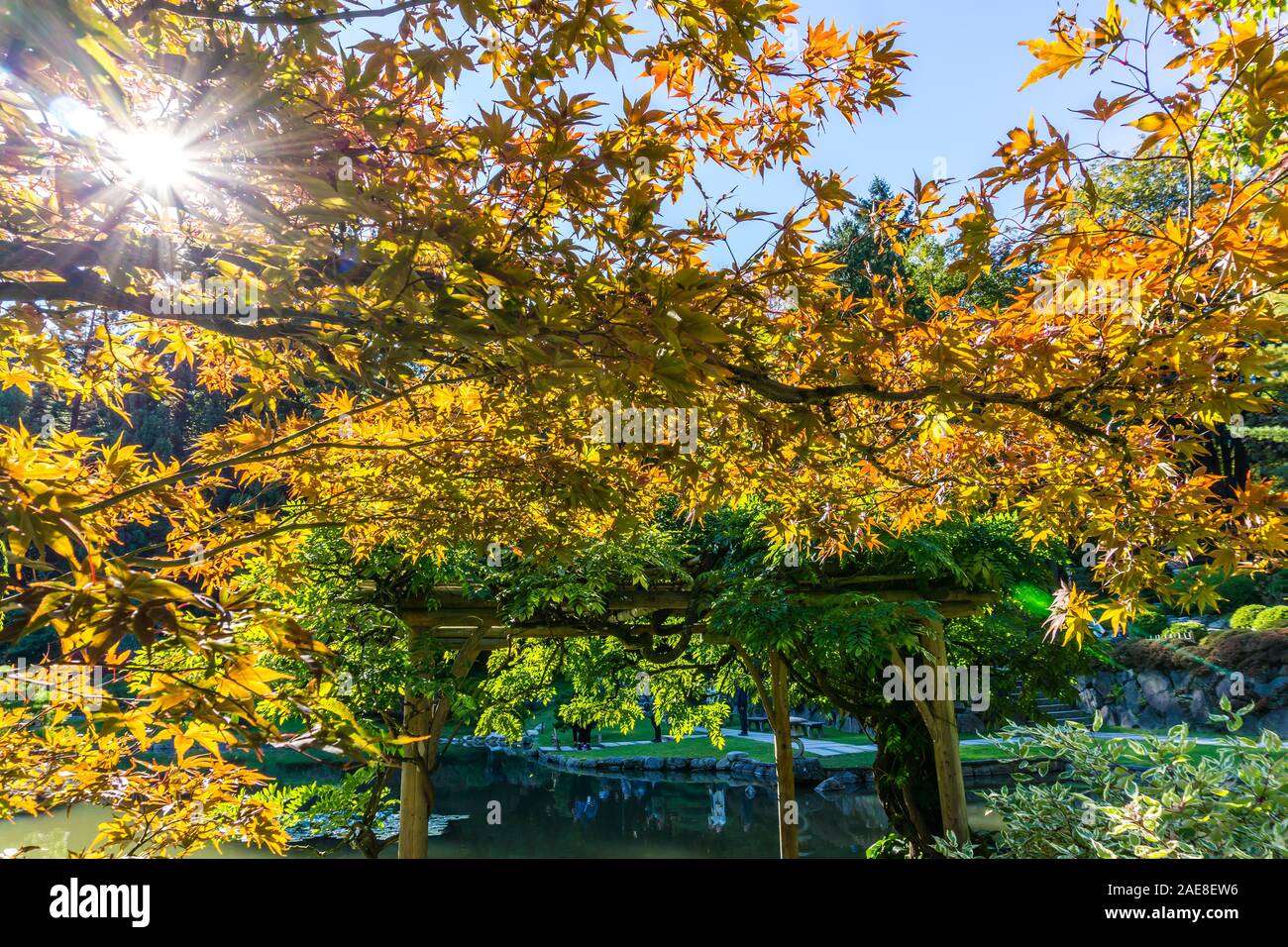 Garden through the seasons hi-res stock photography and images - Alamy