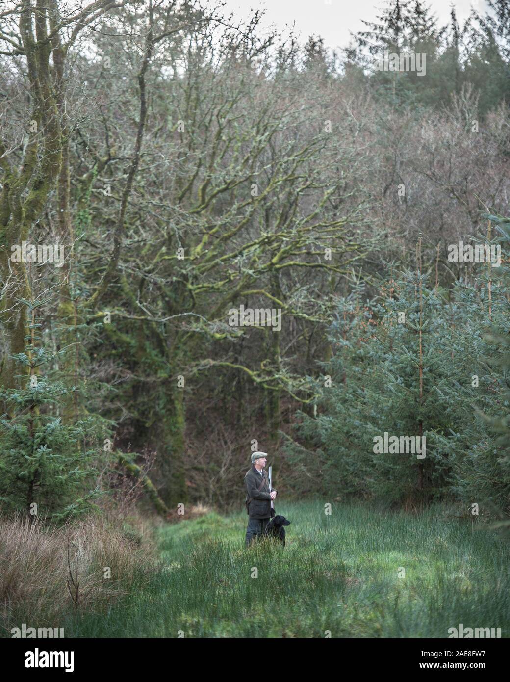 Commission shoot hi-res stock photography and images - Alamy