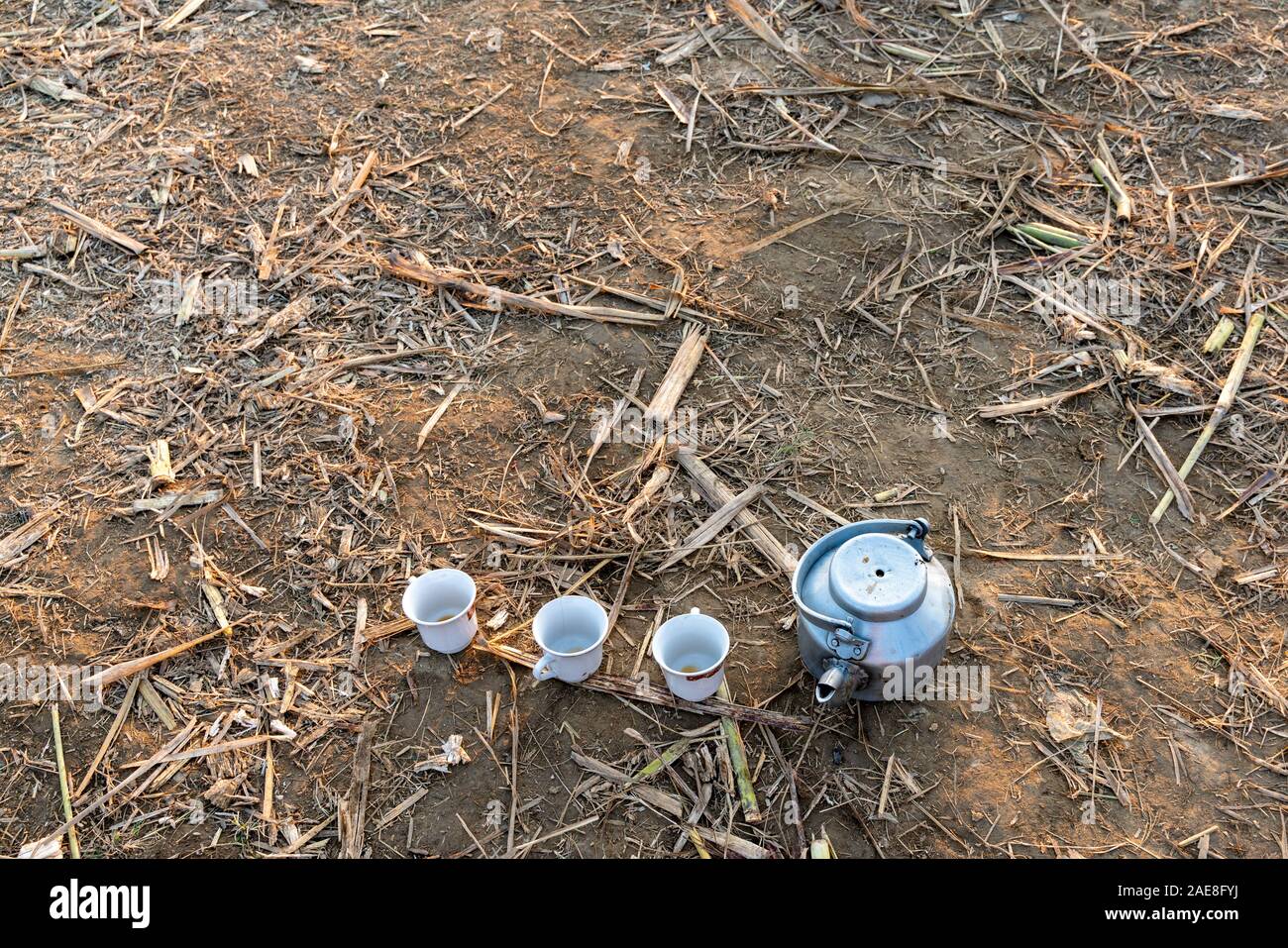 Tea fields pakistan hi-res stock photography and images - Alamy