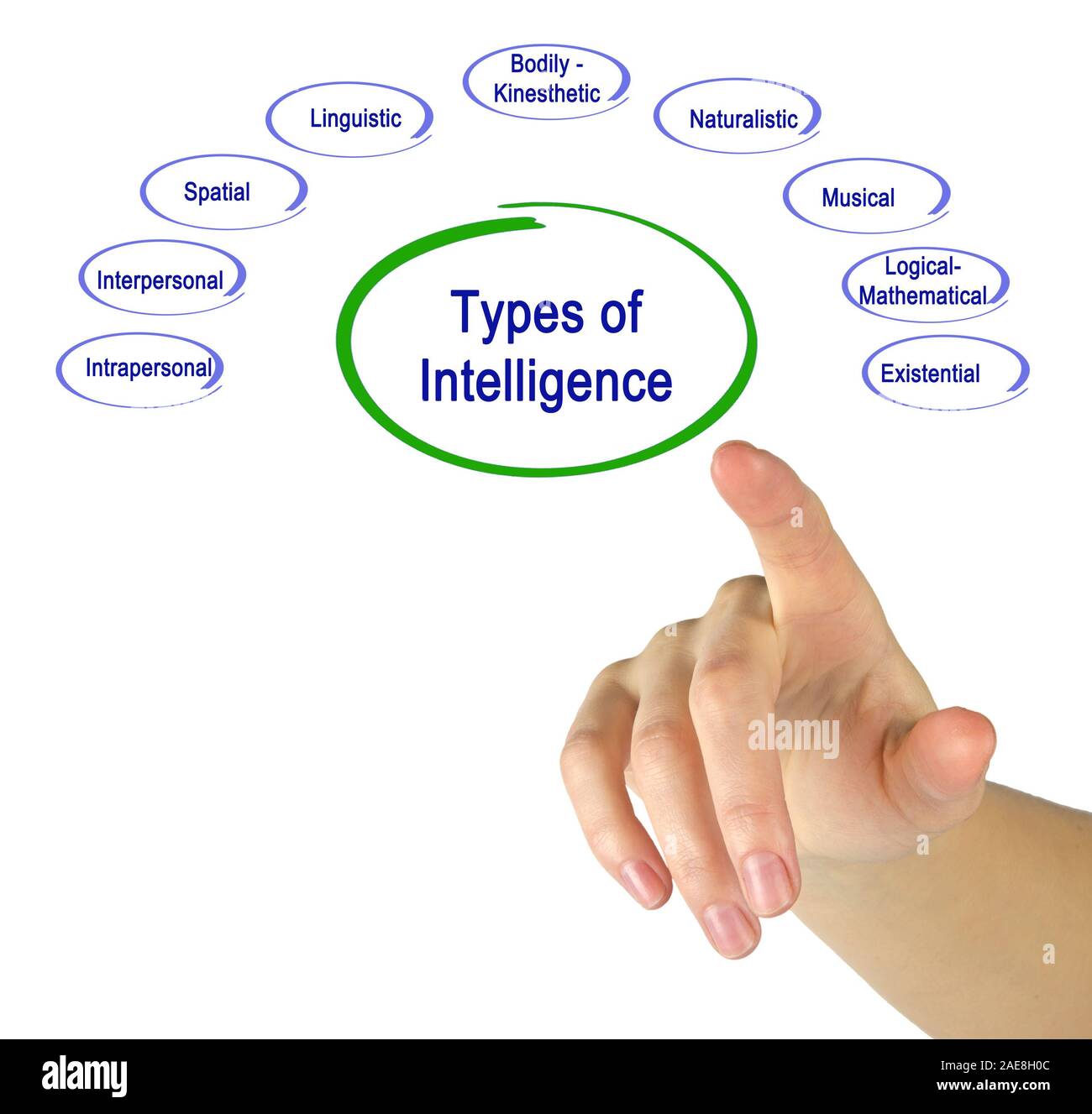 Types of Intelligence Stock Photo - Alamy