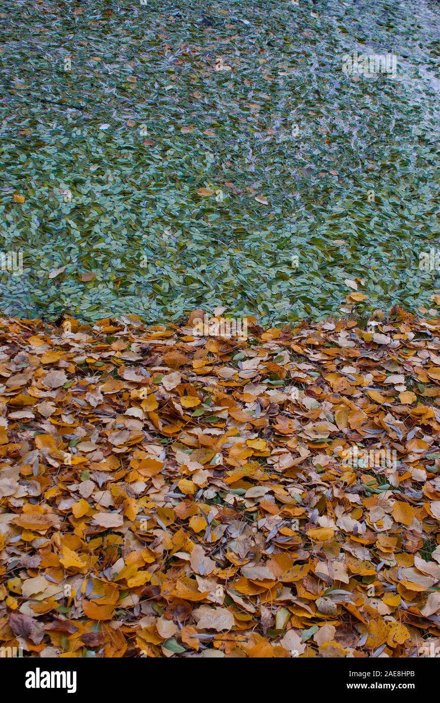 Regular Pattern High Resolution Stock Photography and Images - Alamy