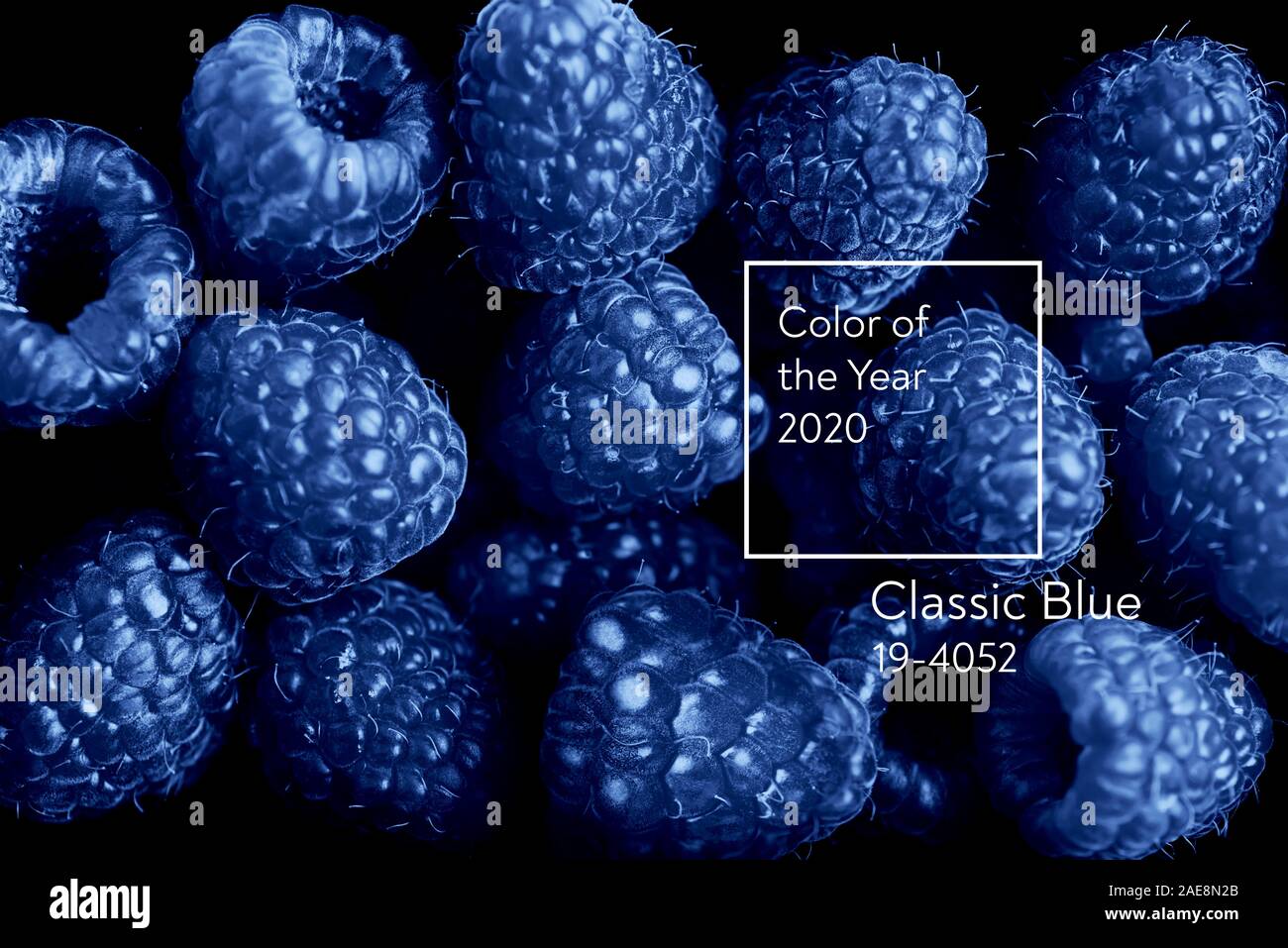 Classic Blue. Color of the Year 2020. a lot of raspberries on a black ...