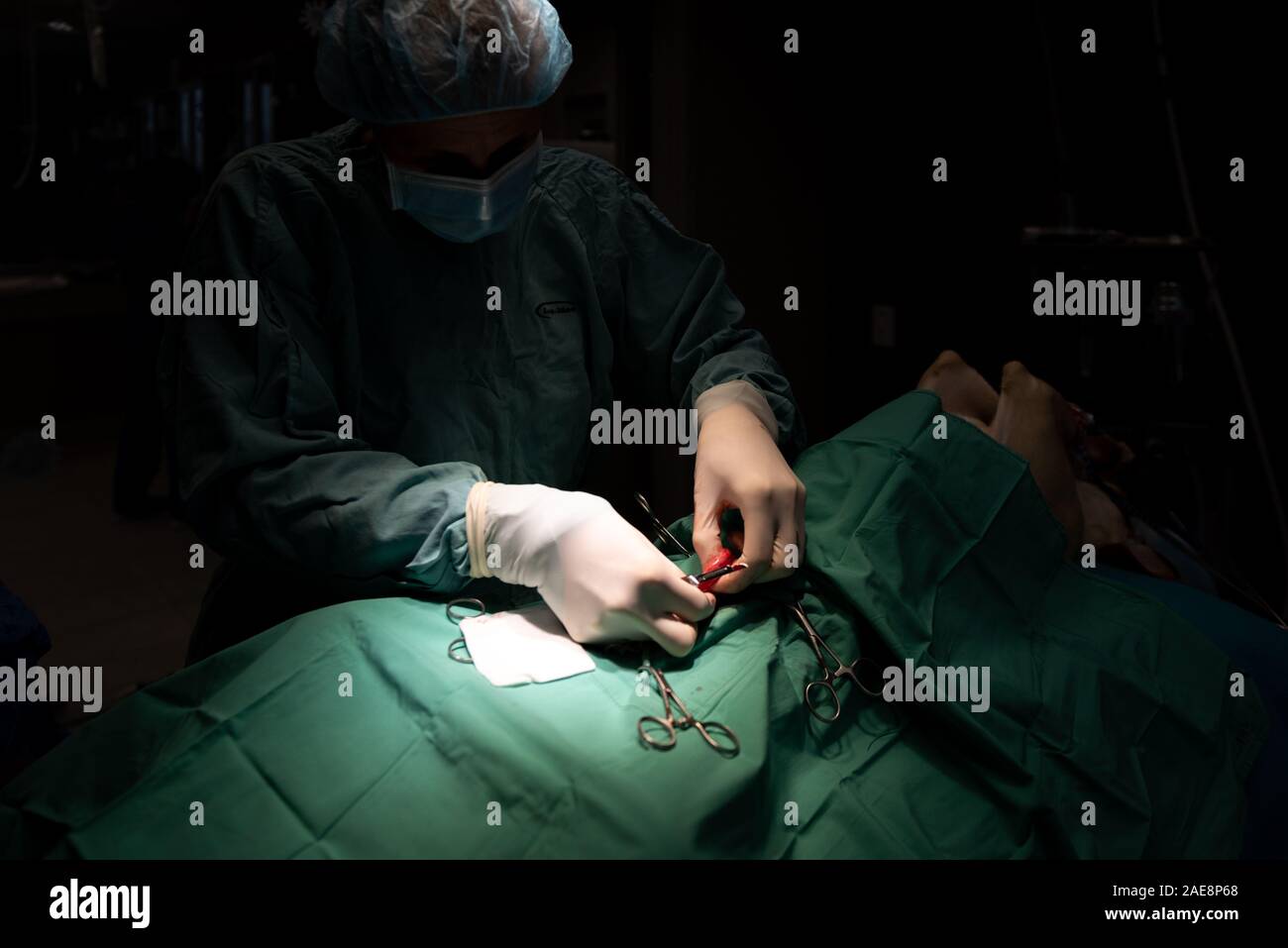 Low Key lighting during a spay surgery at a vet clinic in London ...