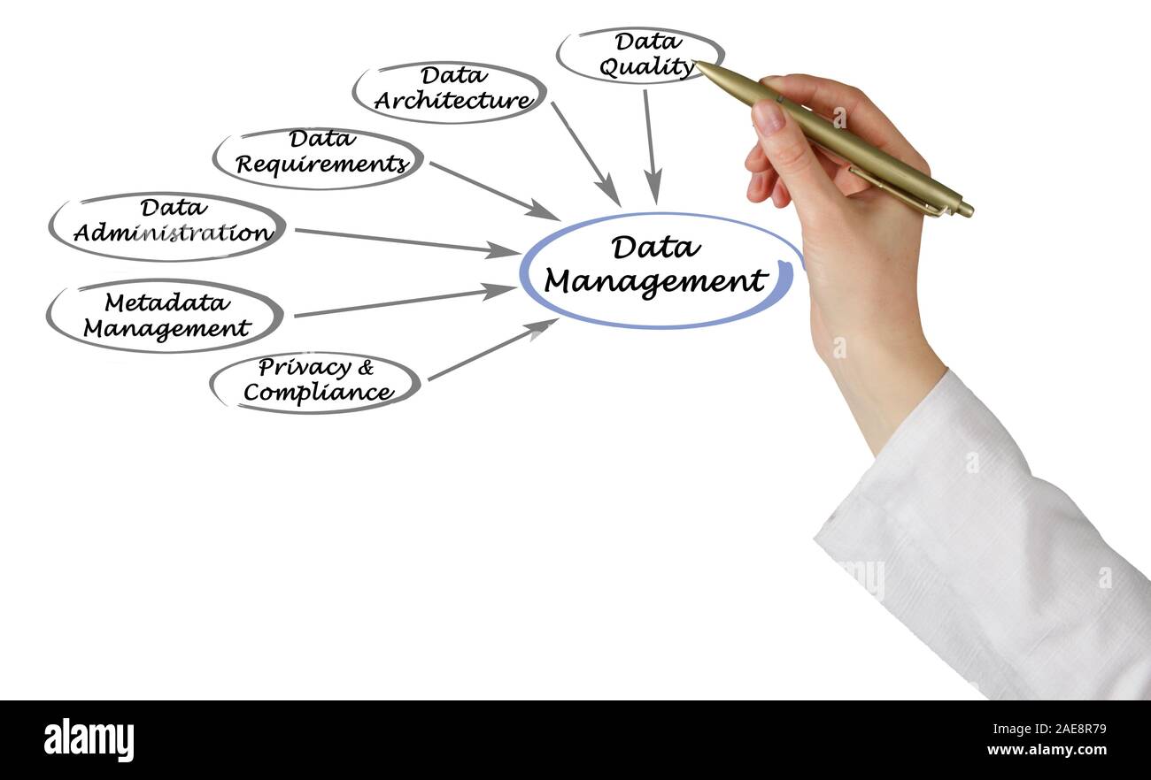 Diagram of data management Stock Photo - Alamy