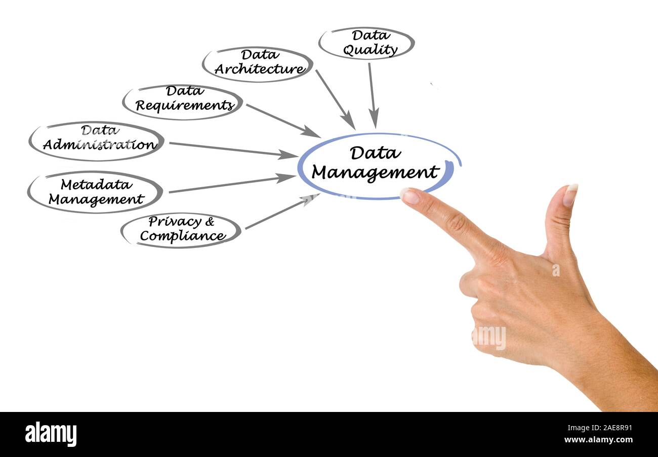 Diagram of data management Stock Photo - Alamy