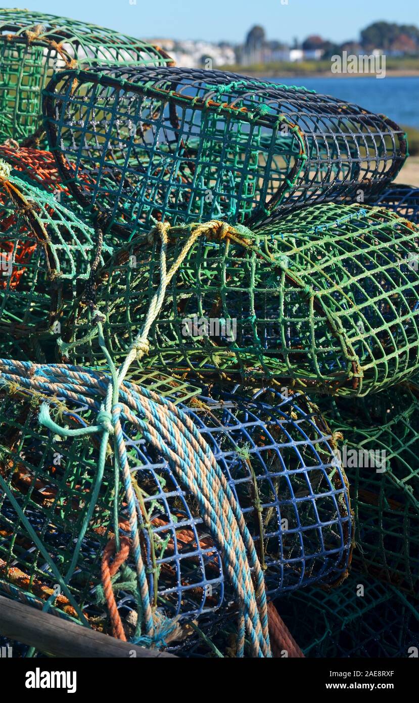 Cuttlefish trap fishery hi-res stock photography and images - Alamy