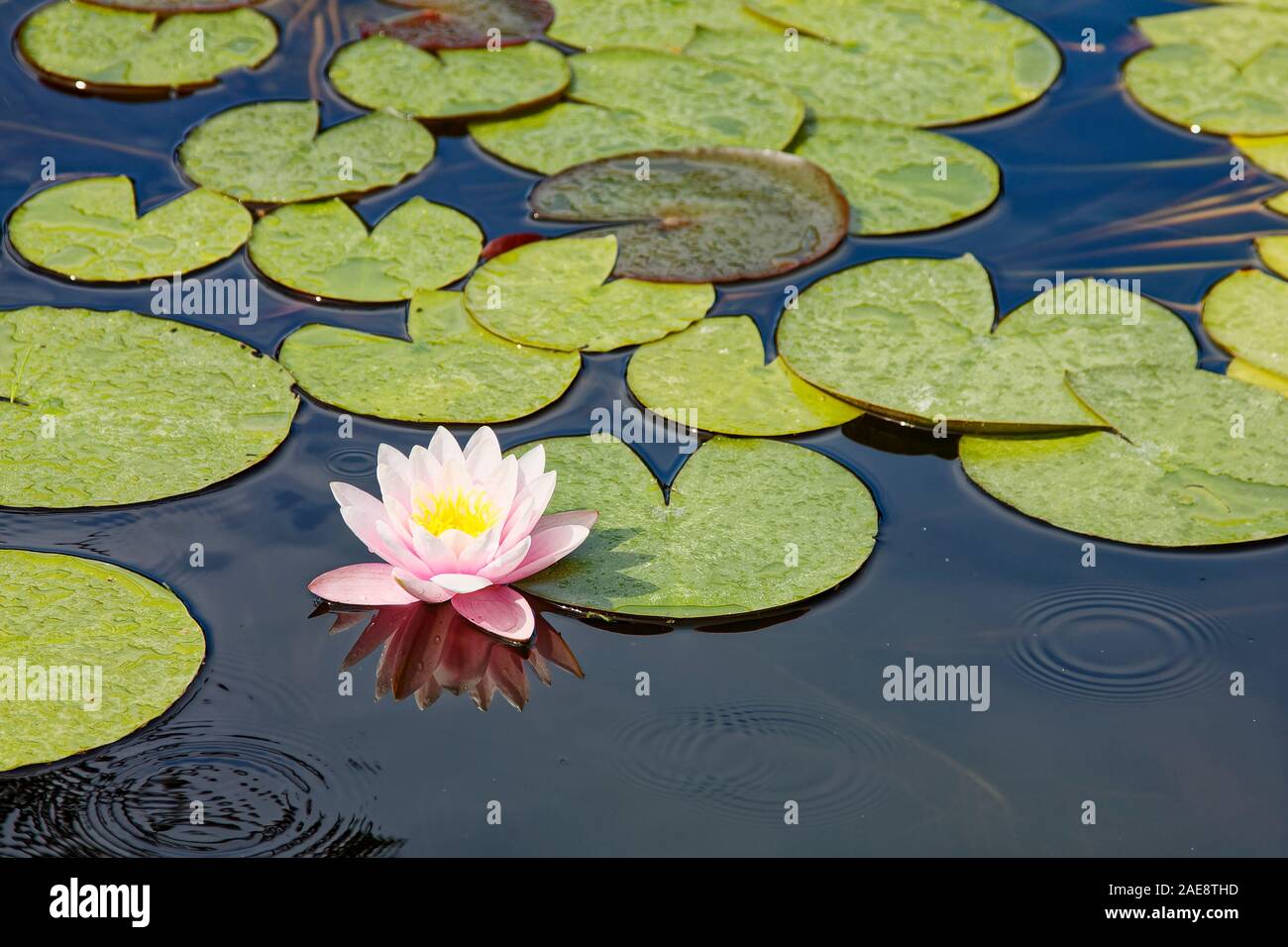 Horizontal ripples hi-res stock photography and images - Alamy