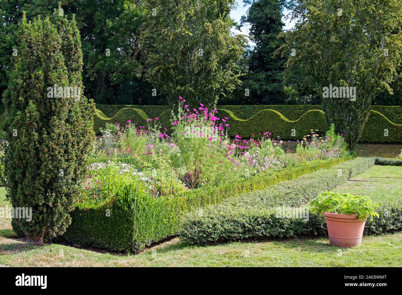 Wavy sculpted hedge hi-res stock photography and images - Alamy
