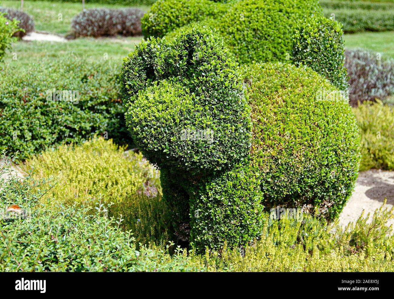 Dog topiary hi-res stock photography and images - Alamy