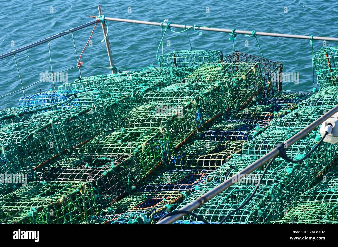 Cuttlefish traps hi-res stock photography and images - Alamy