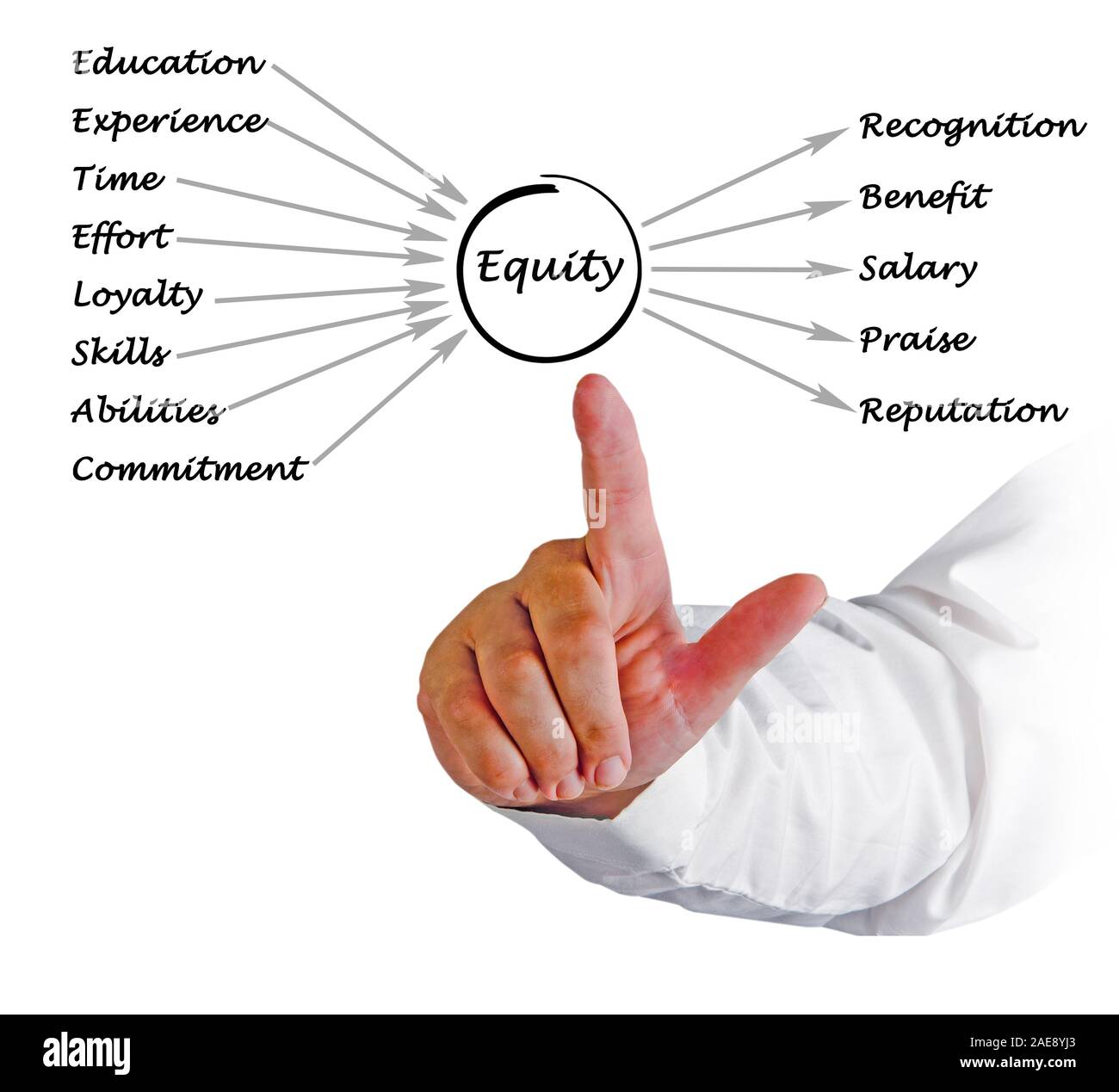 Diagram of equity Stock Photo - Alamy