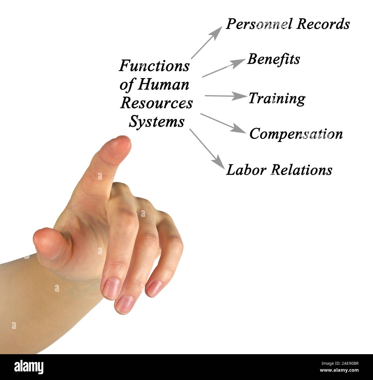 Diagram of Human Resources Systems Stock Photo - Alamy