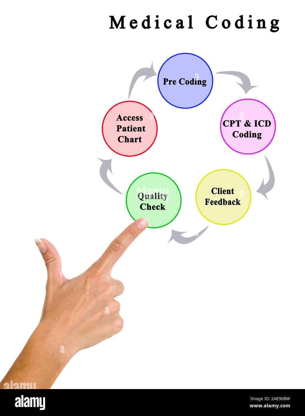 Five Components of Medical Coding Stock Photo - Alamy